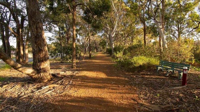 Zig Zag Scenic Drive: Everything you need to know | Field Notes: The ...