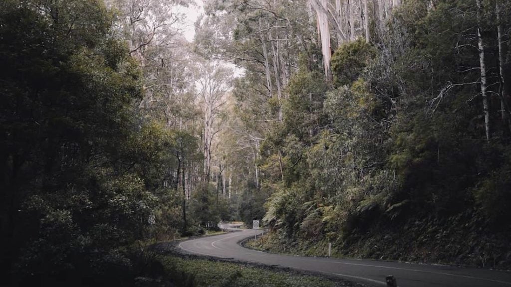 Melbourne to Sydney Road Trip – The Ultimate Drive Itinerary | Field ...