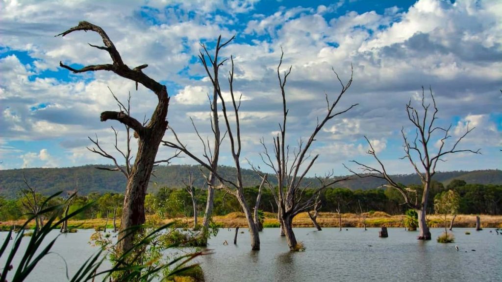 The Canberra to Melbourne drive | Field Notes: Turo Australia
