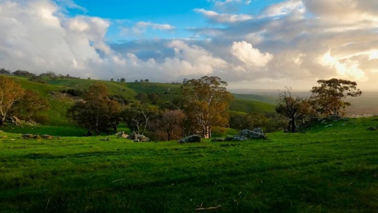 The ultimate Adelaide to Perth road trip guide | Turo Australia