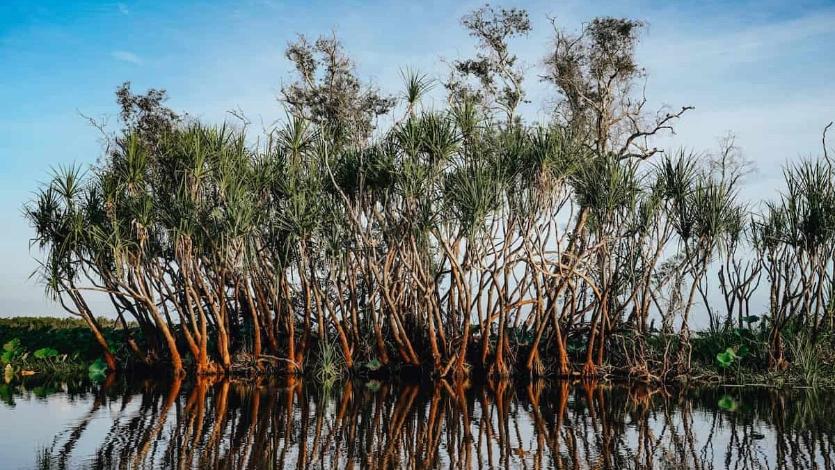 Adelaide to Darwin Road Trip | Field Notes: Turo Australia