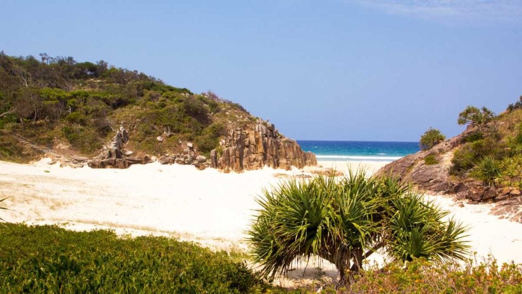 Sydney to Coffs Harbour road trip: Drive guide | Turo AU