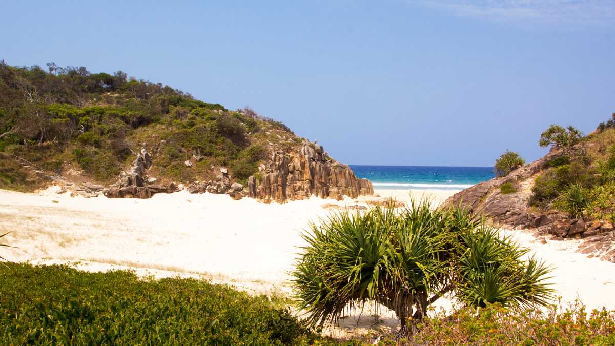 Sydney to Coffs Harbour road trip: The ultimate drive guide | Field ...