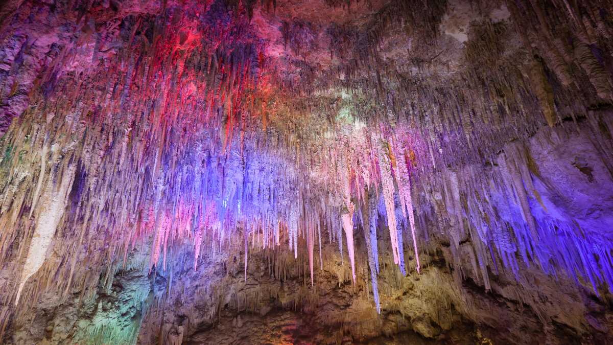 Perth to Margaret River road trip: Drive guide | Turo AU