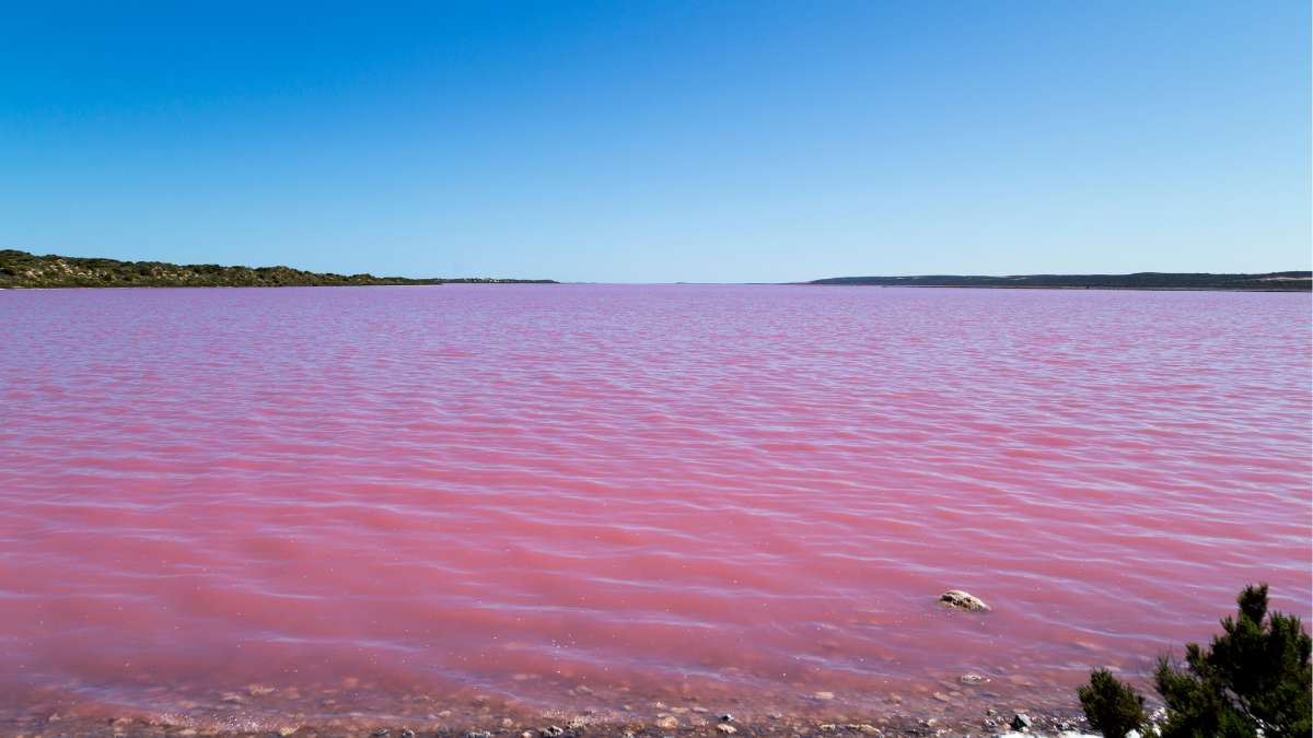 Perth to Geraldton road trip: Drive guide | Turo Australia