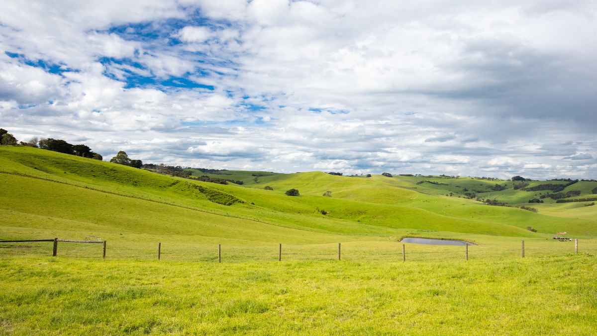 The best scenic drives in Melbourne: A 2024 guide | Turo AU