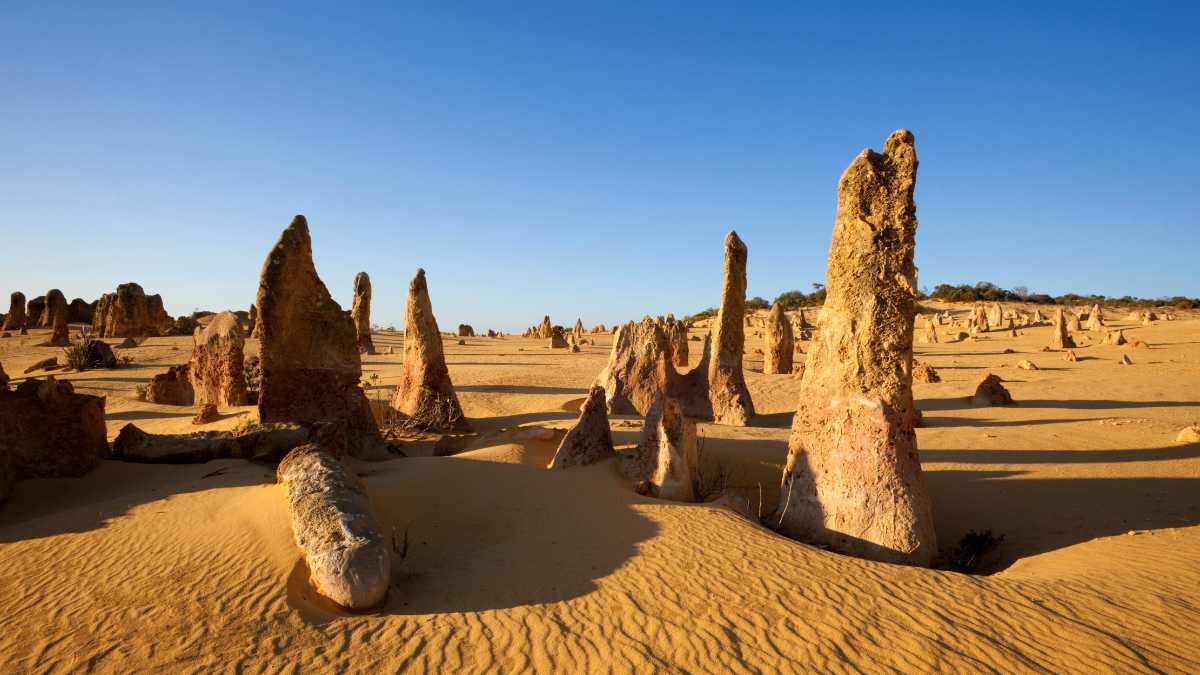 Perth to Monkey Mia road trip: The ultimate drive guid