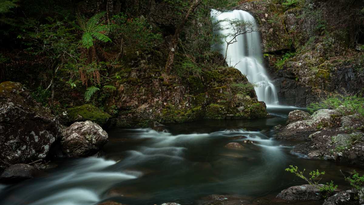 Thunderbolts Way: The ultimate drive guide | Turo Australia