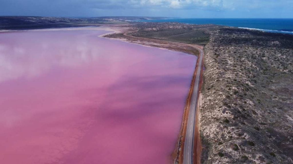 Perth to Monkey Mia road trip: The ultimate drive guid