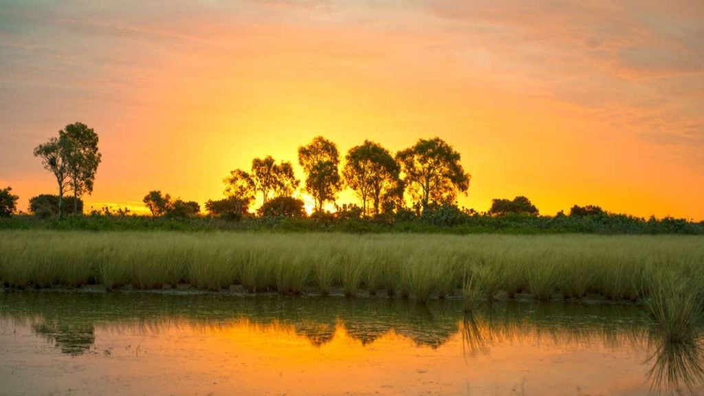 Savannah Way: The ultimate drive guide | Turo Australia