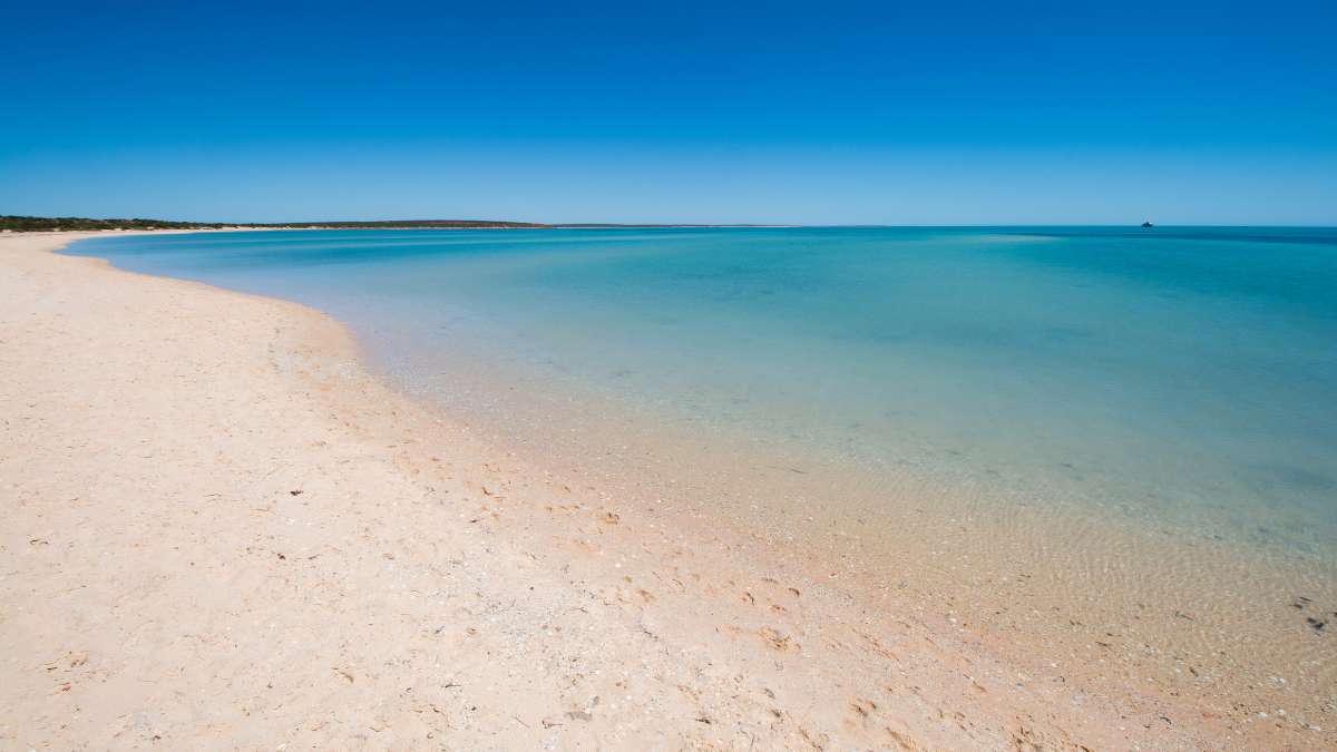 Perth to Monkey Mia road trip: The ultimate drive guid