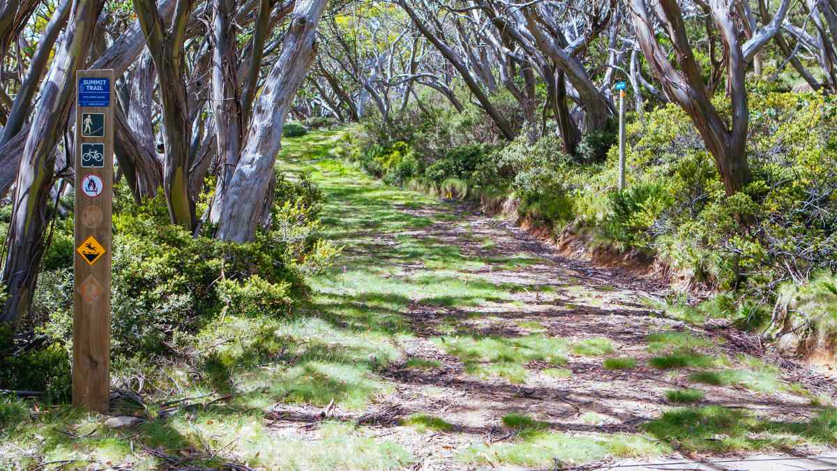 Melbourne to Mt Baw Baw Australia: All you need to know