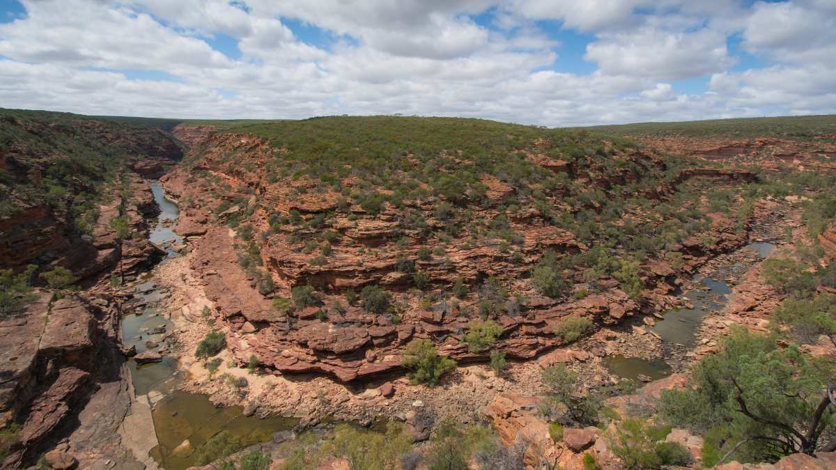 Perth to Monkey Mia road trip: The ultimate drive guid