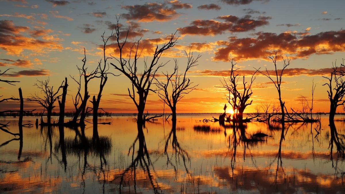 Sydney to Uluru road trip: Your complete drive guide | Turo