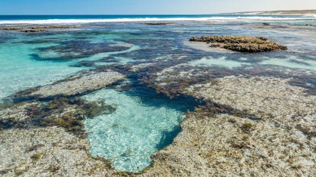 Discover the top 30 things to do in Kalbarri | Turo Australia