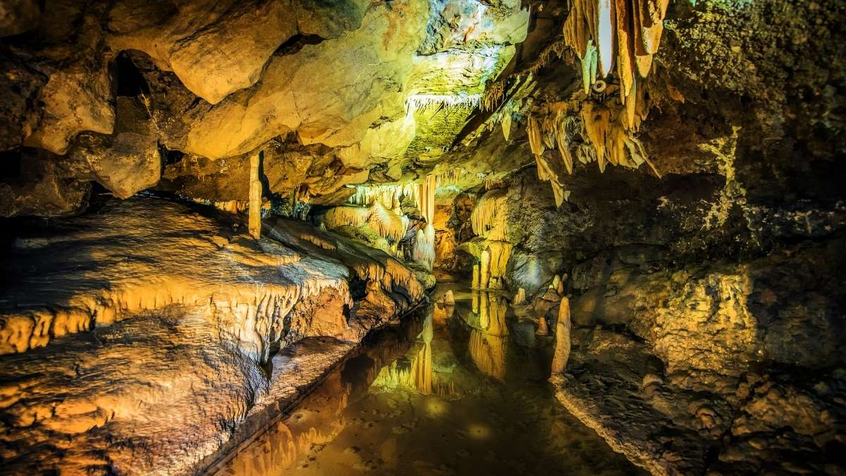 The 10 best things to do in Lakes Entrance (2024) | Field Notes: The ...
