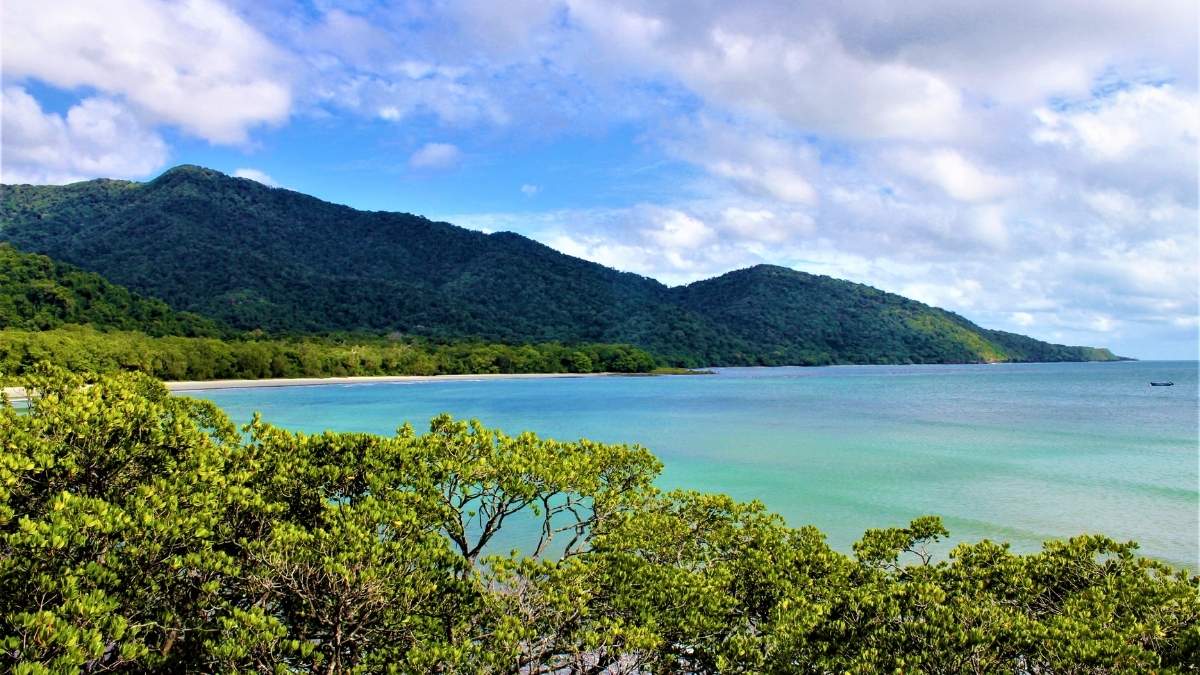 Cairns to Cape Tribulation road trip: A Complete Drive Guide