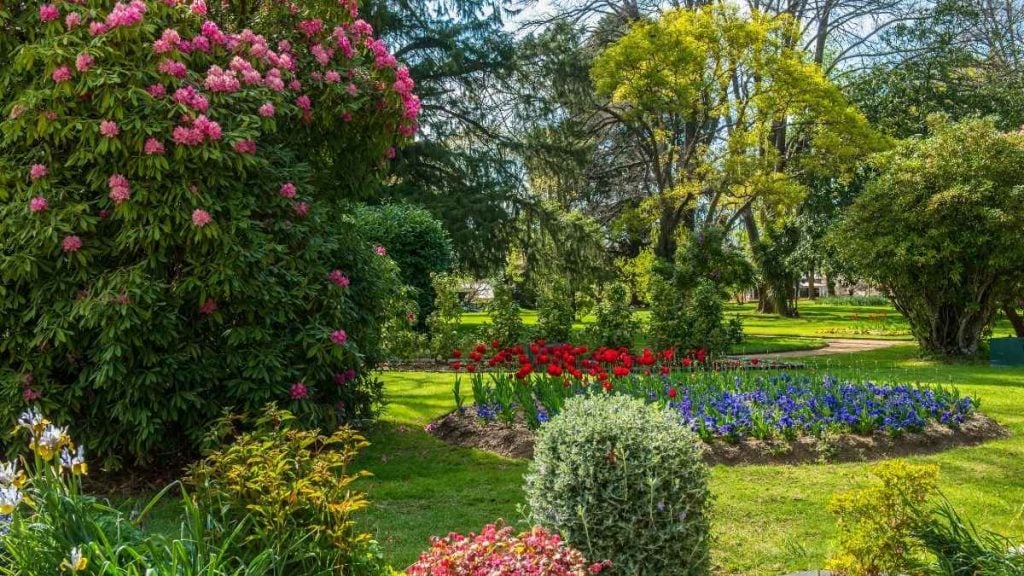 Cowra to Orange: Everything you need to know | Turo AU