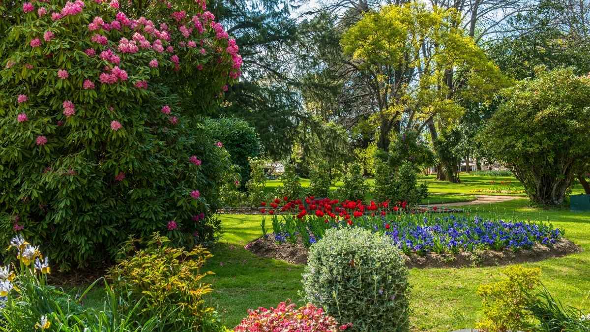 Cowra to Orange: Everything you need to know | Turo AU