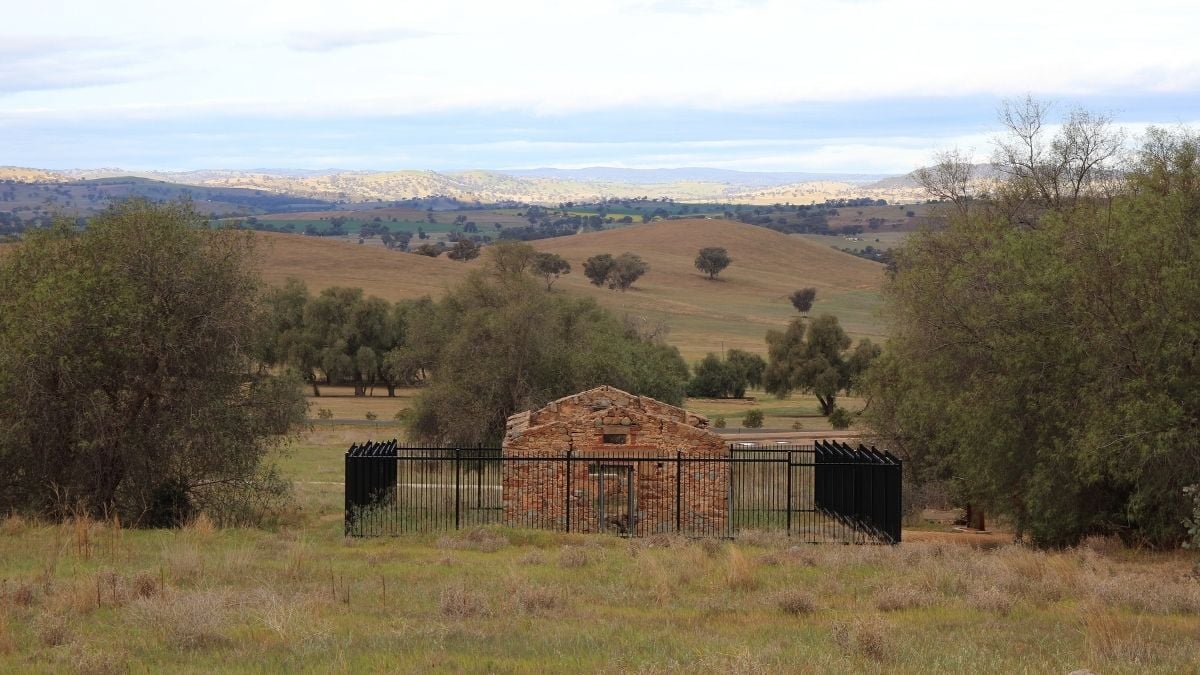 Cowra to Orange: Everything you need to know | Turo AU