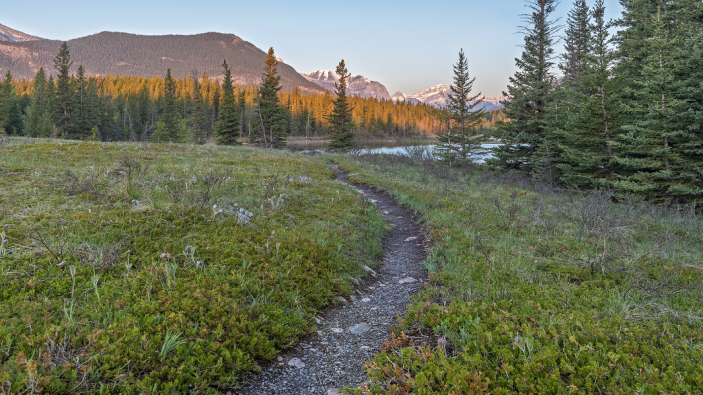 Calgary to Banff drive: The ultimate road trip guide | Turo