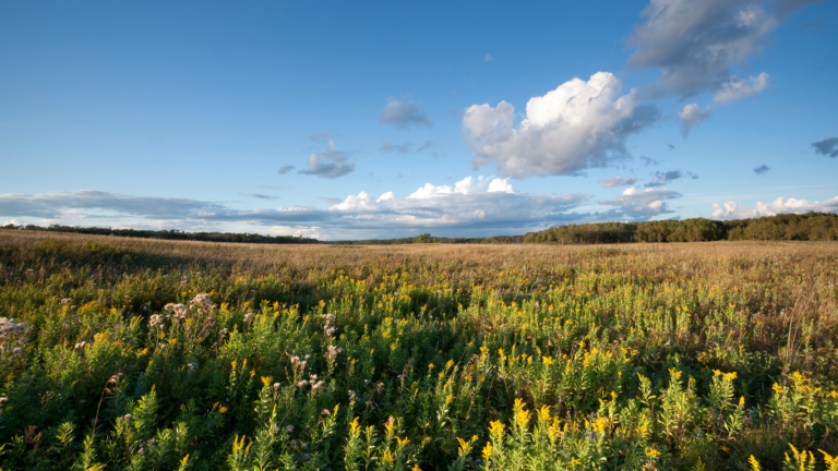 Toronto to Calgary drive: The ultimate road trip guide | Field Notes ...