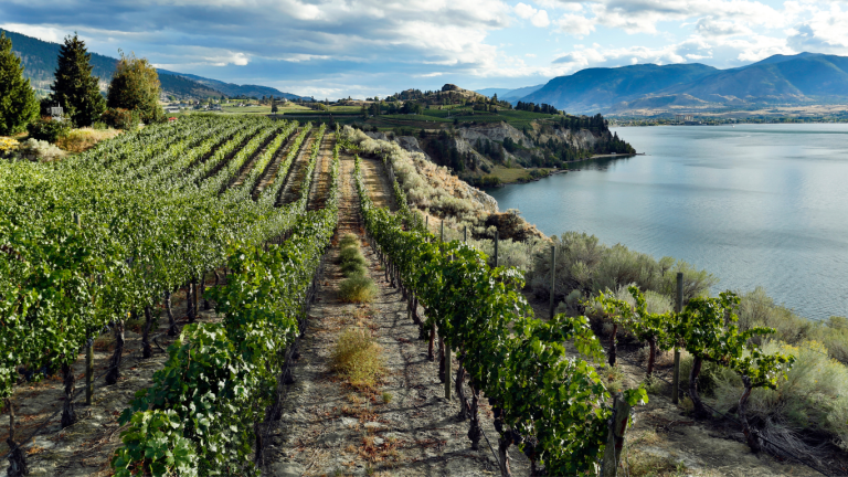 Vancouver to Calgary drive: The ultimate road trip guide | Turo