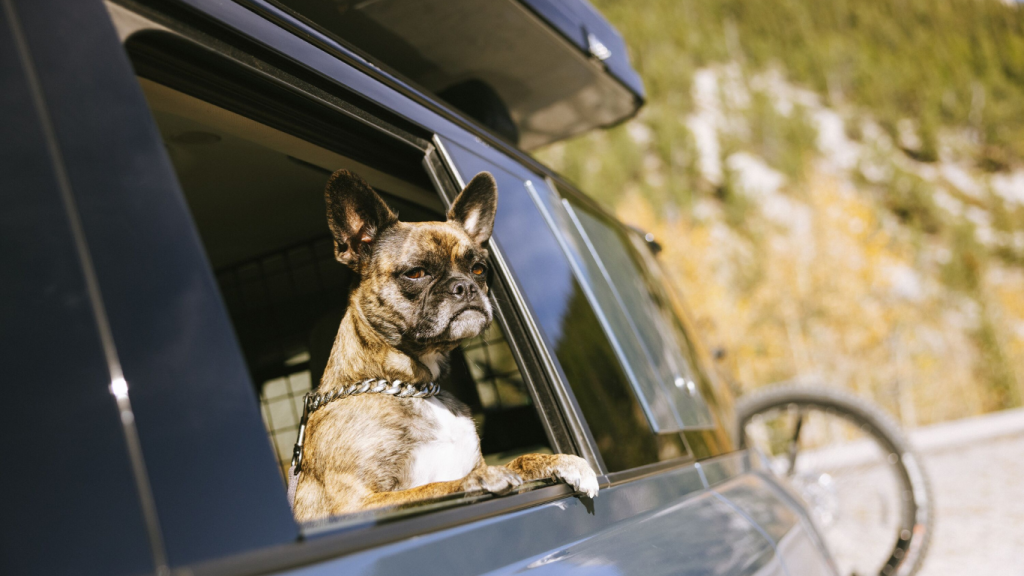 Edmonton to Calgary drive: The ultimate road trip guide | Turo