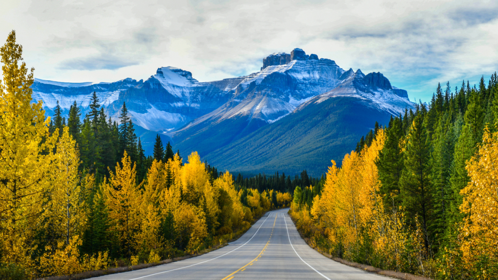 Edmonton to Calgary drive: The ultimate road trip guide | Turo