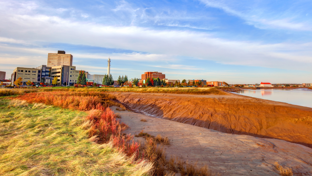 Moncton to Fredericton drive: The ultimate road trip guide | Field ...