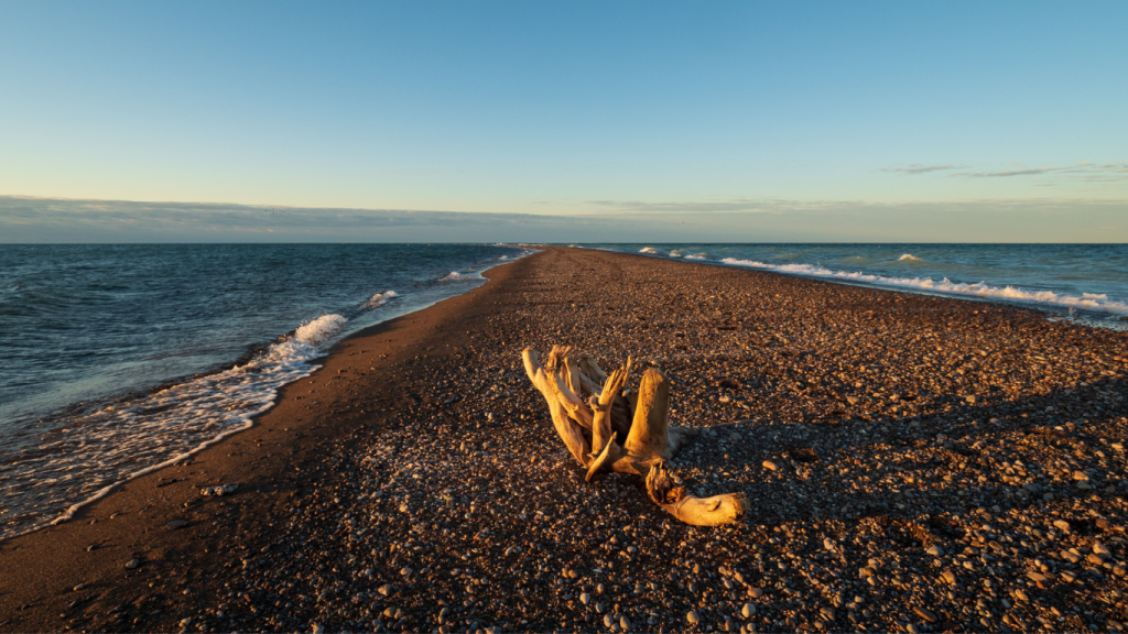 Toronto to Detroit drive: The ultimate road trip guide | Turo