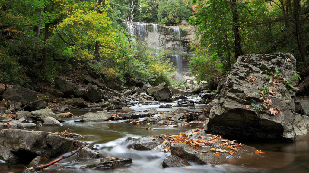 Toronto to Detroit drive: The ultimate road trip guide | Turo