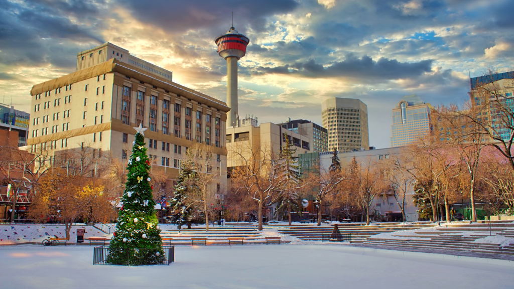 Top 5 things to do in Calgary during winter | Field Notes: The Turo ...