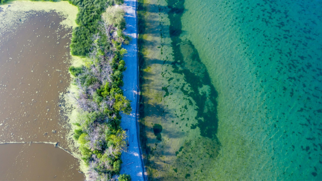 Top 5 things to do in Mississauga | Field Notes: The Turo Blog Canada