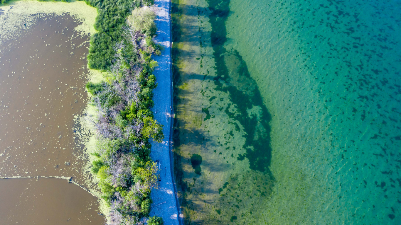 Top 5 things to do in Mississauga | Field Notes: The Turo Blog Canada