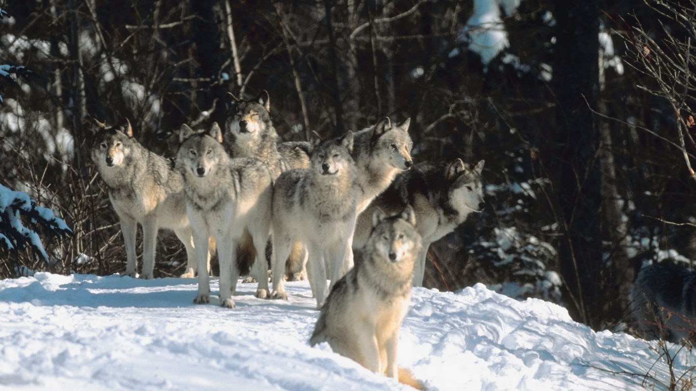 Calgary to Edmonton drive: The ultimate road trip guide - Field Notes ...