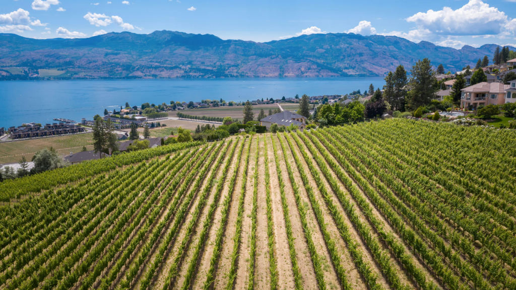 Edmonton to Kelowna drive: The ultimate road trip guide | Turo