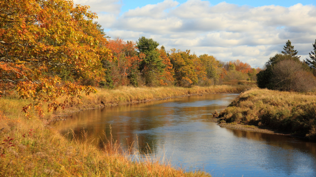 Halifax to Cape Breton drive: The ultimate road trip guide | Turo