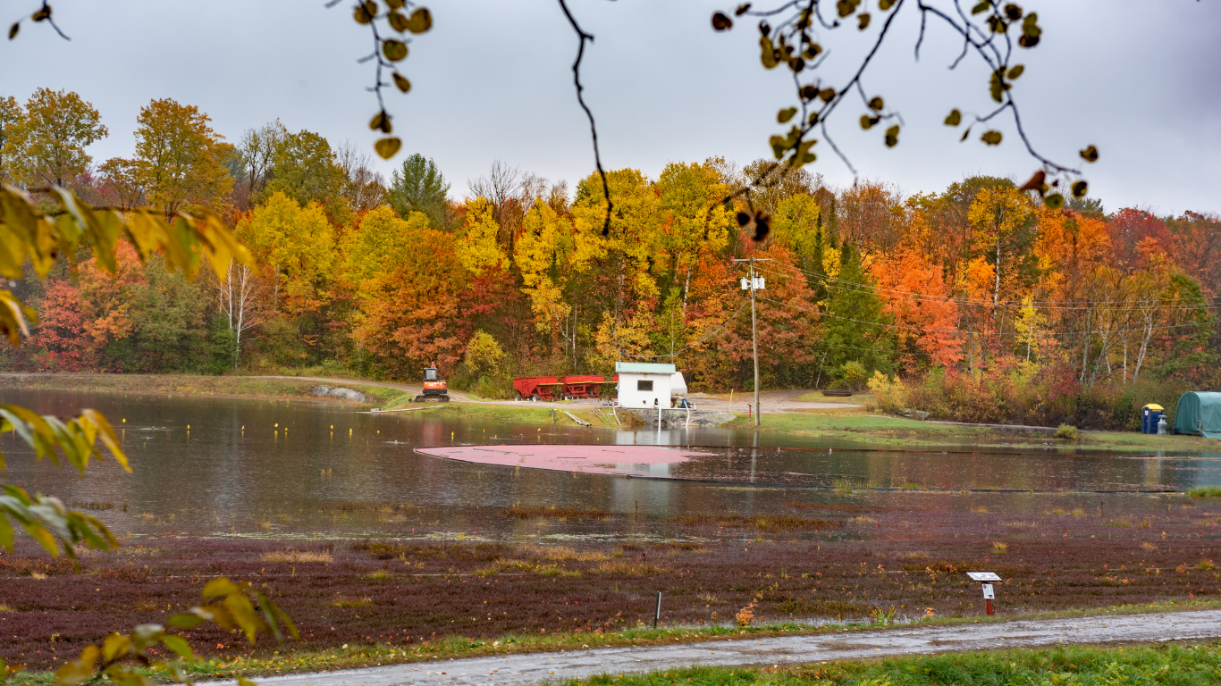 Toronto to Muskoka drive: The ultimate road trip guide | Field Notes ...