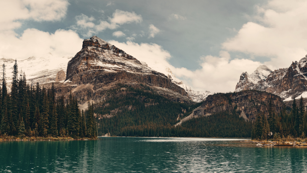 Calgary to Seattle drive: The ultimate road trip guide | Field Notes ...
