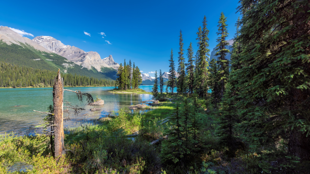 Edmonton to Victoria drive: The ultimate road trip guide | Field Notes ...