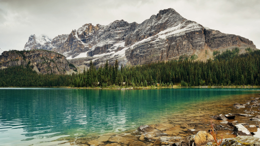 Edmonton to Victoria drive: The ultimate road trip guide | Field Notes ...