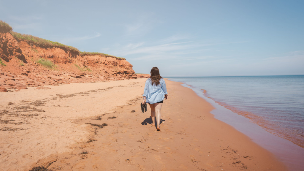 Moncton to Charlottetown drive: The ultimate road trip guide | Field ...