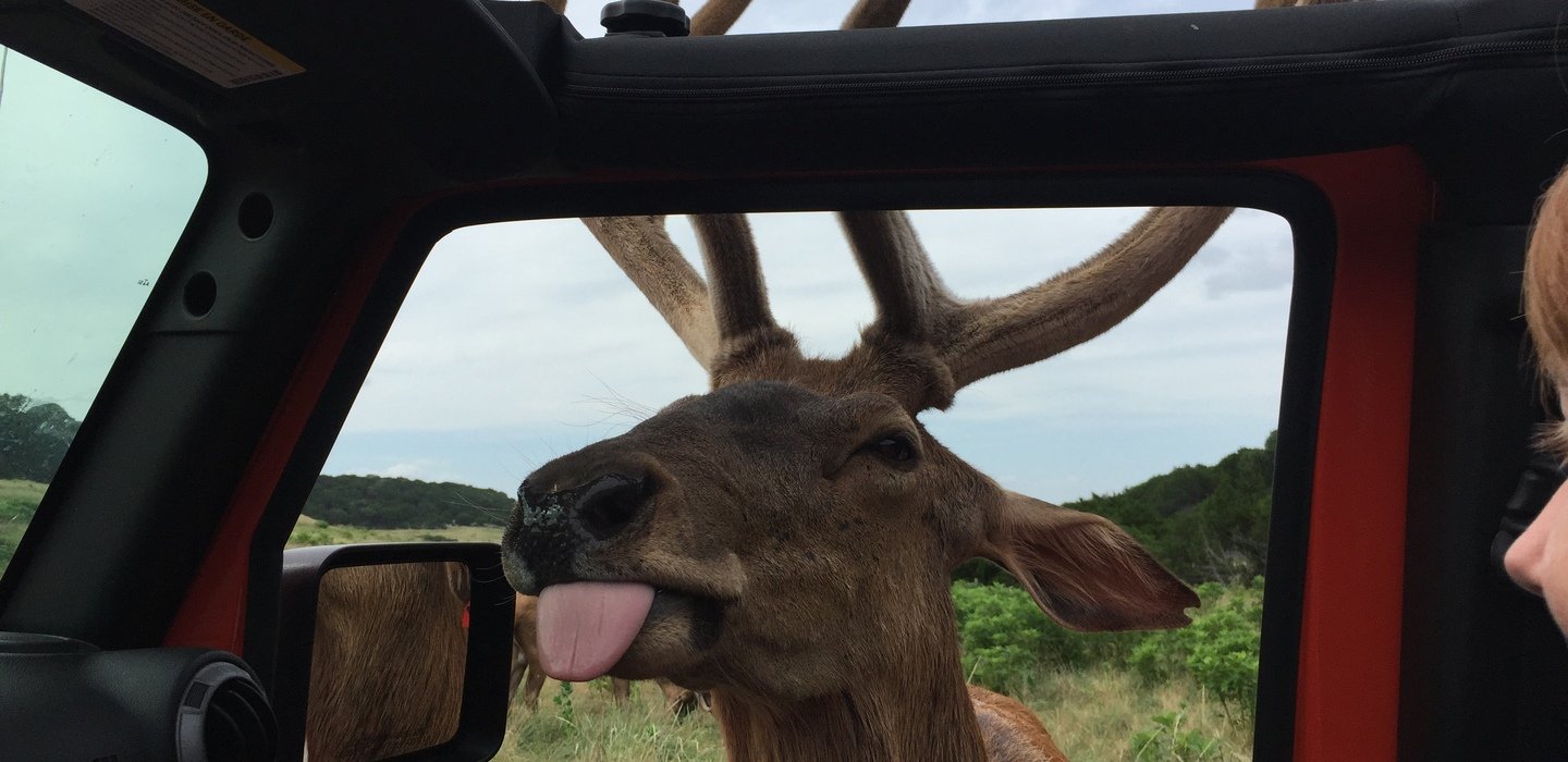 Cody's 2015 Jeep Wrangler rental | Field Notes: The Turo blog