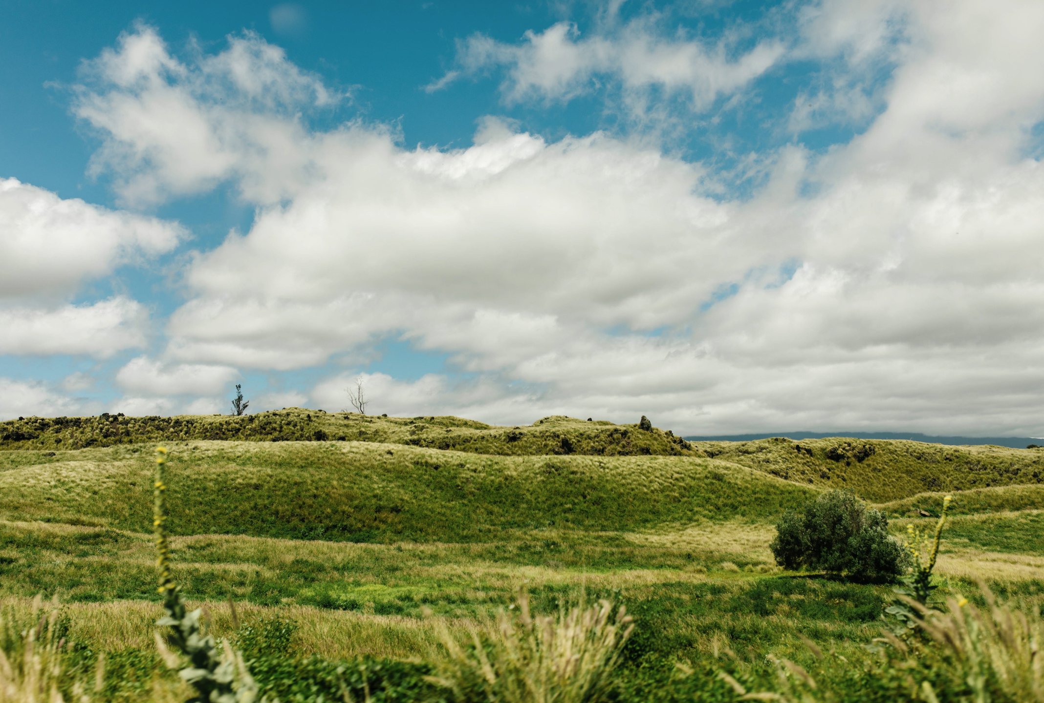 Turo Big Island at Taj Schauer blog