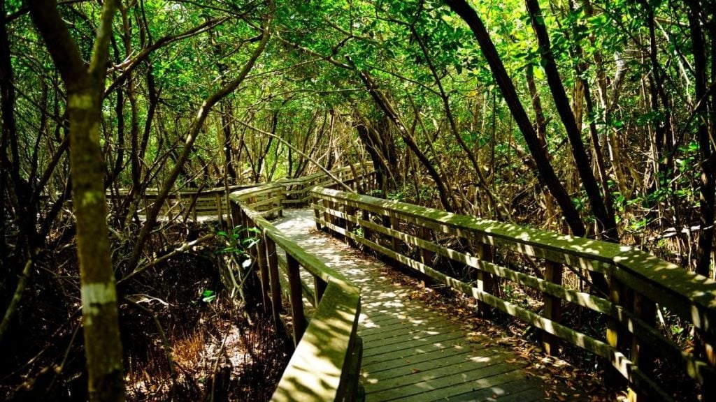 Miami to Key West Road Trip: The ultimate driving guide | Field Notes ...