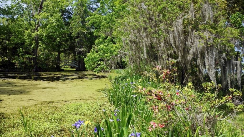 Charlotte to Charleston drive: The complete road trip guide | Field ...