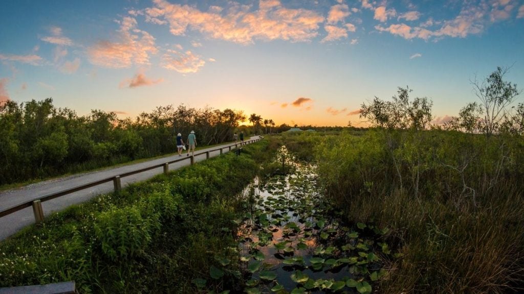 Tampa to Miami drive: The perfect road trip guide | Field Notes: The ...