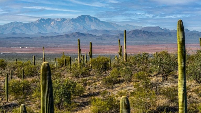 Phoenix to Tucson drive: The complete road trip guide | Field Notes ...