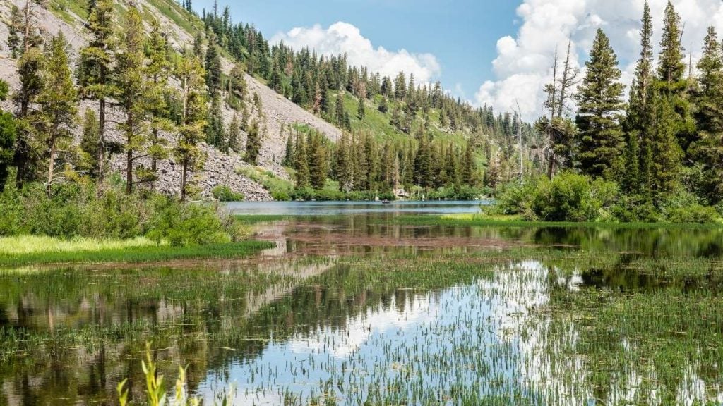 California's highest drive-to campground: Saddlebag Lake